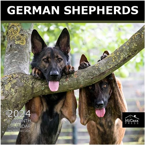 MICASA German Shepherds 2024 Wall Calendar 12 Month | 12" x 24" Open | Thick & Sturdy Paper | Giftable | Calendar 2024