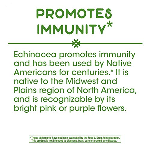 Nature's Way Echinacea Purpurea Herb, 1,200 mg per serving, 180 VCaps