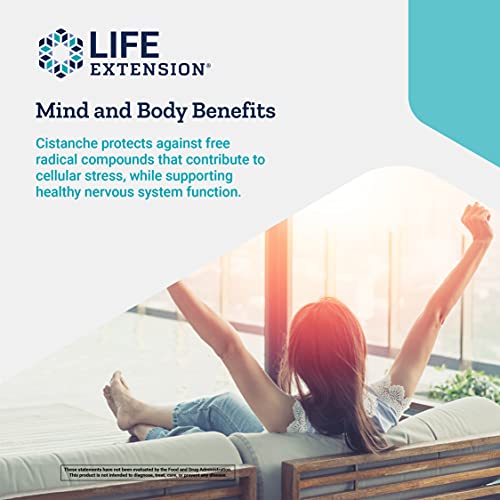Life Extension Standardized Cistanche – Supports Immune & Cardiovascular Health – Gluten-free – Non-gmo – Vegetarian – 30 Vegetarian Capsules