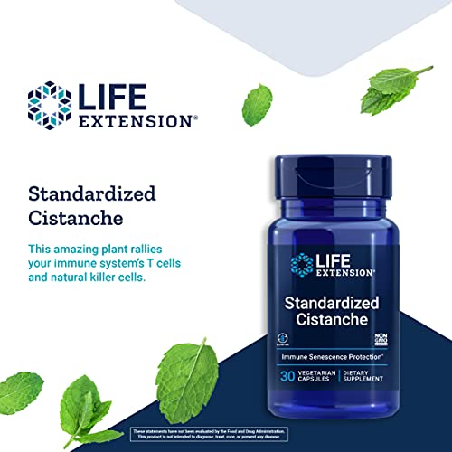 Life Extension Standardized Cistanche – Supports Immune & Cardiovascular Health – Gluten-free – Non-gmo – Vegetarian – 30 Vegetarian Capsules