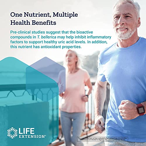 Life Extension Uric Acid Control - Ayuric Terminalia Bellerica Fruit Extract Supplement - Support Healthy Uric Acid Level - Non-GMO, Gluten Free - 60 Vegetarian Capsules