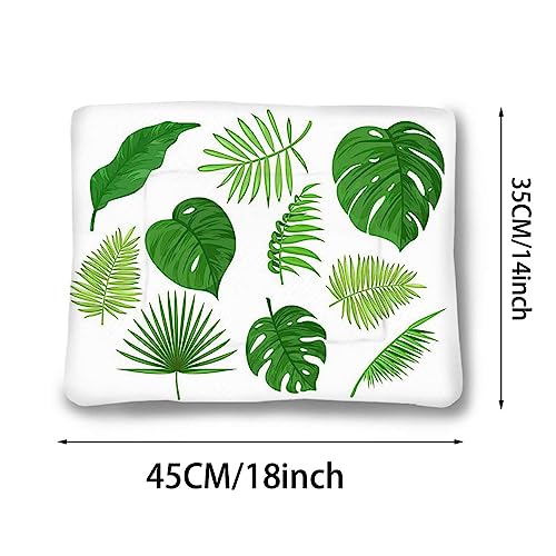 Pale Green Non-Electric Pet Warming Pad Leaf Nature Jungle Forest Super Soft Plush Dog Crate Pad for Travel or Home Party Theme 14" x 18"