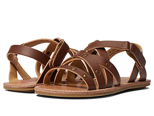 Rachel Shoes Girl's Brazil (Little Kid/Big Kid) Brown 3 Little Kid M