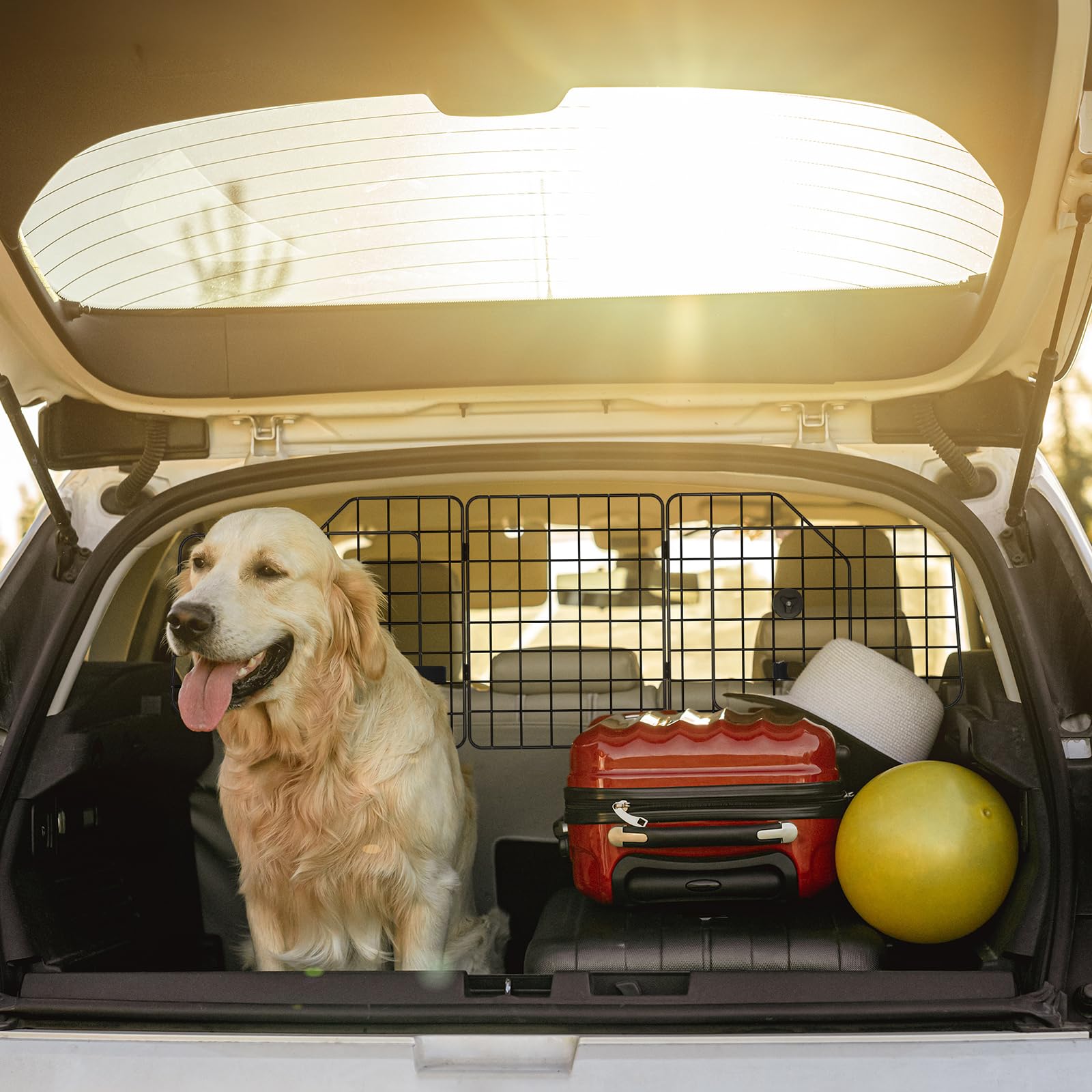 Sunexinlo Dog Car Barriers for SUV