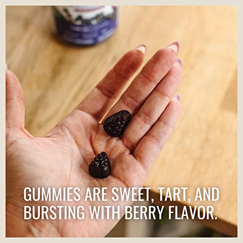 Nature’s Way Sambucus Elderberry Immune Support Gummies*, Elderberry with Vitamin C, Vitamin D and Zinc, 100 Gummies