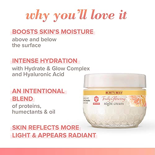 Burt's Bees Truly Glowing Moisture Bundle - Face Cleanser 6 Ounces and Night Face Cream 1.8 Ounces