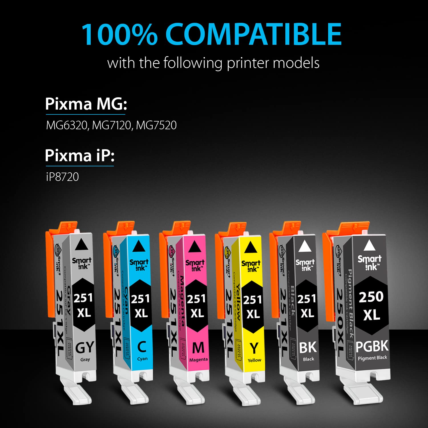 Smart Ink Compatible Ink Cartridge Replacement for Canon PIXMA CLI-251XL PGI-250XL PGI 250 CLI 251 ( 1PGBK & 1BK/C/M/Y/GY 6 Combo Pack ) to use with iP8720 MG6320 MG7120 MG7520