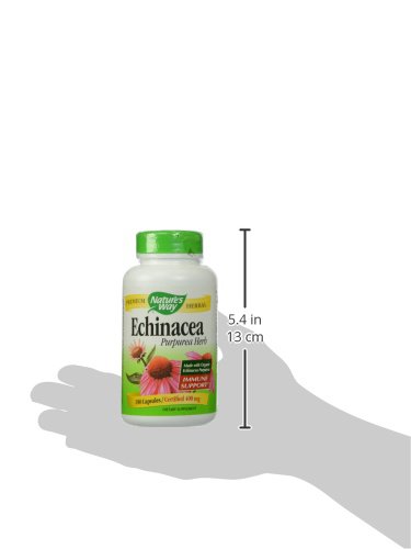 Nature's Way Echinacea Herb Capsules, 180 Count