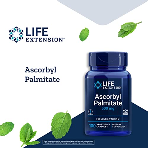 Life Extension Ascorbyl Palmitate 500mg – Fat-Soluble Vitamin C Supplement for Immune Support and Longevity – Water-Soluble Gluten-Free, Non-GMO, Vegetarian – 100 Capsules