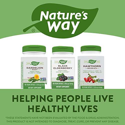Nature's Way Black Elderberry, 1,150 mg per serving, 100 VCaps (Packaging May Vary)