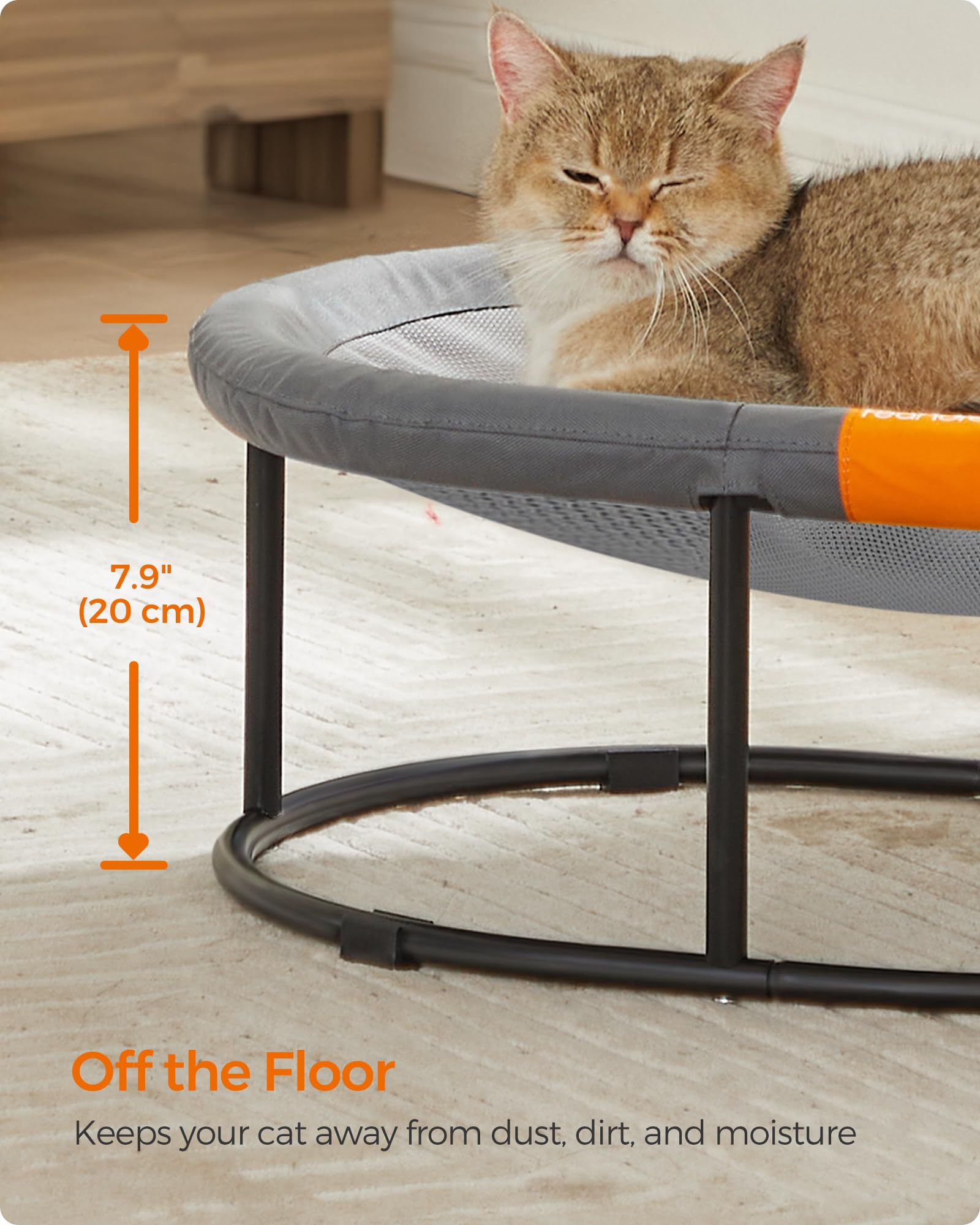 Feandrea Pet Bed, Cat Hammock, Elevated Cat Bed for Multiple Cats, with Removable Washable Mesh, for Pets up to 20 lb, Oval, Gray UPCB001G01