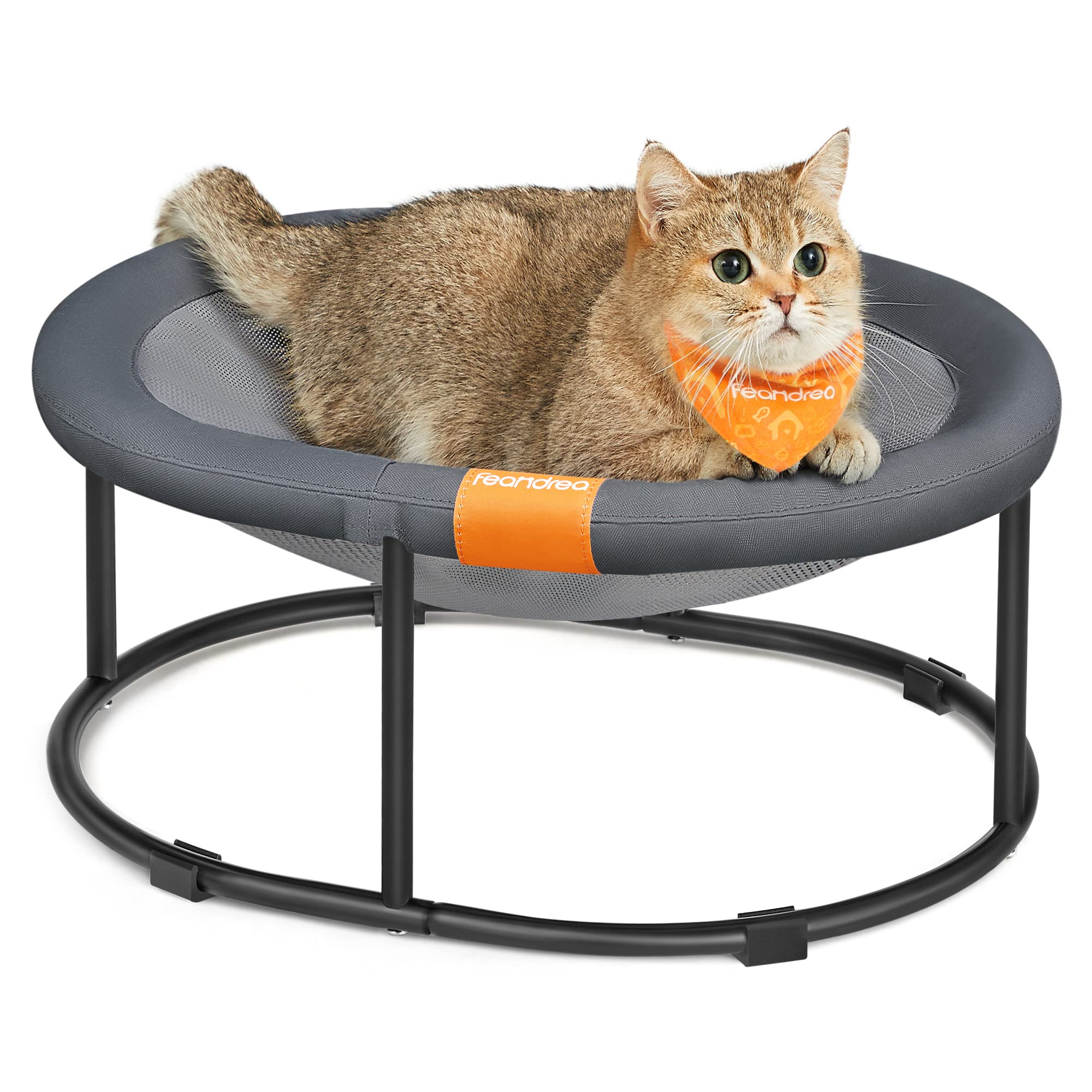 Feandrea Pet Bed, Cat Hammock, Elevated Cat Bed for Multiple Cats, with Removable Washable Mesh, for Pets up to 20 lb, Oval, Gray UPCB001G01