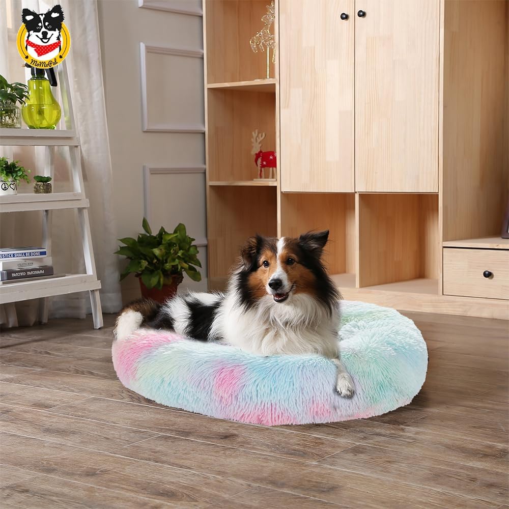 Cat Beds for Indoor Cats - Cat Bed Washable 24 inches, Dog Beds for Small Medium Dogs, Anti Anxiety Round Fluffy Plush Faux Fur Cat Bed, Thick Bottom (Rainbow, Large)