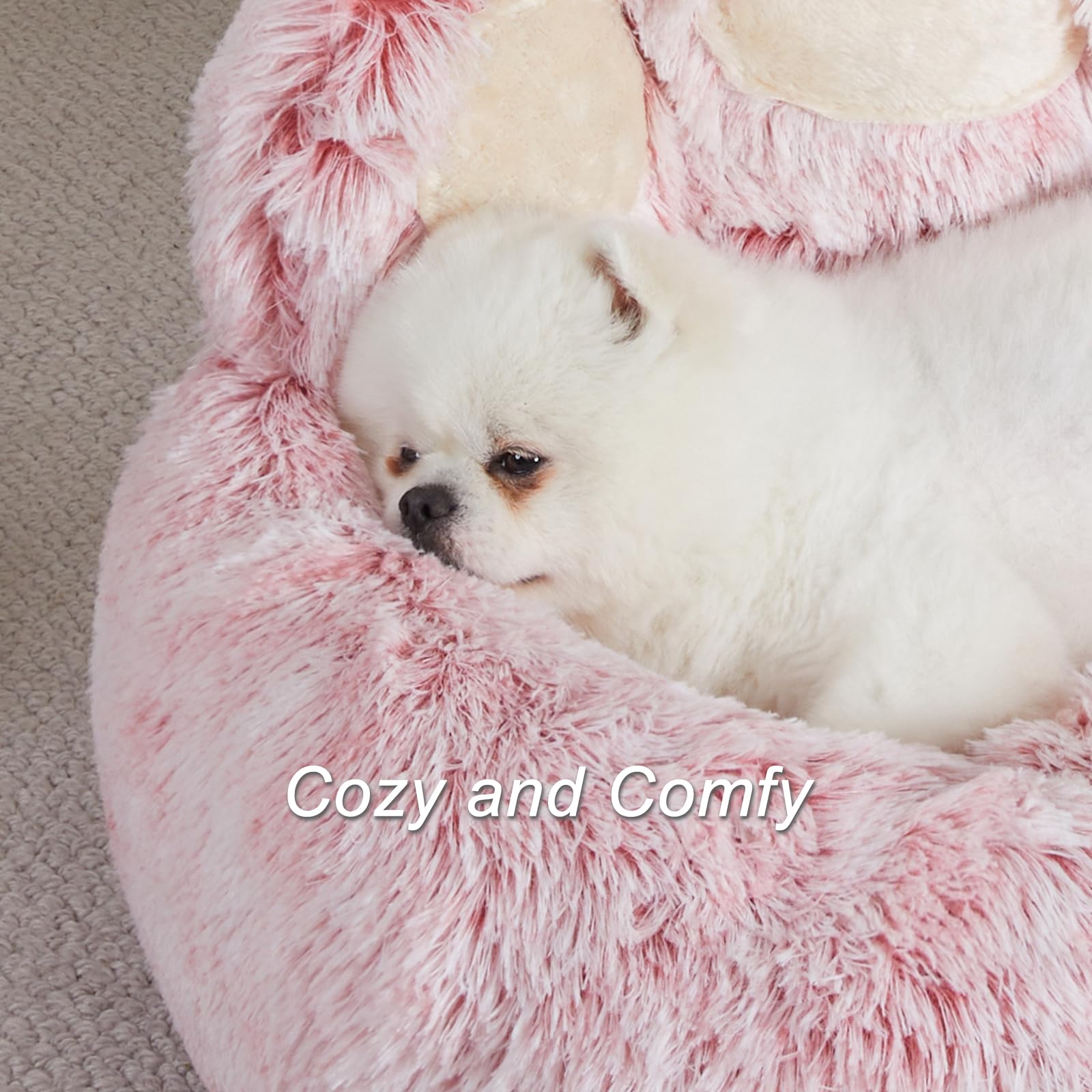 Jiupety Cozy Comfy Small Dog Bed | Upgraded Soothing Paw Donut Bed | L Size 26" × 26" × 8" | Creative Bear Paws Design