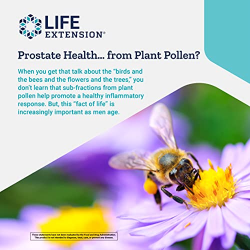 Life Extension Triple Strength Prosta Pollen โ Prostate Health โ 1 Daily โ Gluten-Free โ 30 Softgels