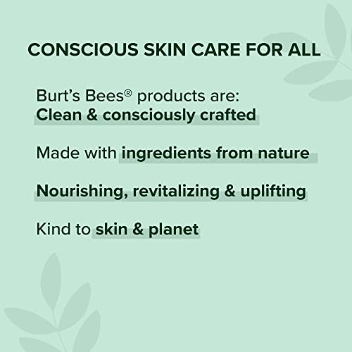 Burt's Bees 100% Natural Origin Moisturizing Lip Balm, Original Beeswax with Vitamin E & Peppermint Oil 0.15 Ounce Tube