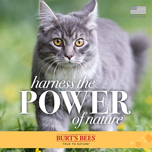 Burt's Bees for Cats Grooming Wipes and Dander Reducing Spray - Cat Wipes and Cat Dander Spray, Cat Dander Wipes, Dander Reducing Cat Grooming Wipes, Burts Bees Cat Spray for Dander