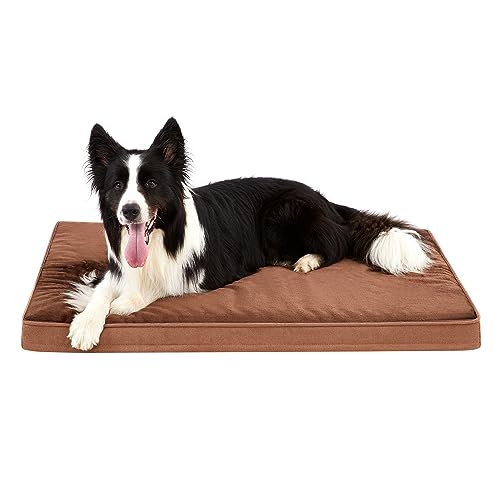 Made4Pets Dog Beds for Medium Dogs, Egg Memory Foam Large Dog Bed with Removable Cover, Pet Bed Mattress for Large Cats, Washable Plush and Cool Cover, 34 x 25 Brown