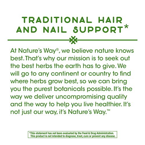 Nature's Way Premium Herbal Horsetail Grass 440 mg 100 VCaps