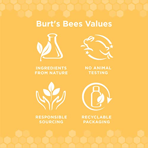 Burt's Bees Natural Oral Care Kit for Puppies, Flavorless, 2.5 oz Tube and Bamboo Brush| Puppy Training Toothbrush and Toothpaste with Coconut Oil (2.5 oz)