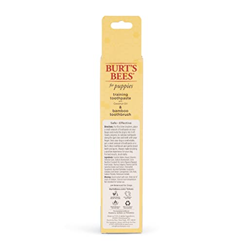 Burt's Bees Natural Oral Care Kit for Puppies, Flavorless, 2.5 oz Tube and Bamboo Brush| Puppy Training Toothbrush and Toothpaste with Coconut Oil (2.5 oz)