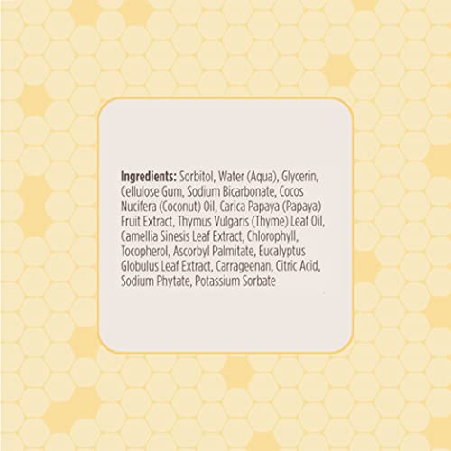 Burt's Bees Natural Oral Care Kit for Puppies, Flavorless, 2.5 oz Tube and Bamboo Brush| Puppy Training Toothbrush and Toothpaste with Coconut Oil (2.5 oz)