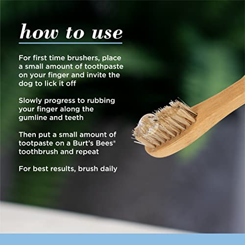 Burt's Bees Natural Oral Care Kit for Puppies, Flavorless, 2.5 oz Tube and Bamboo Brush| Puppy Training Toothbrush and Toothpaste with Coconut Oil (2.5 oz)