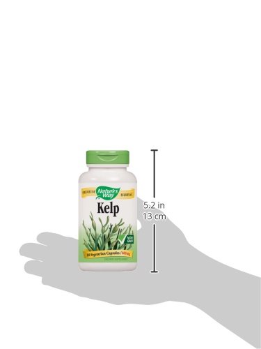 Nature's Way Kelp Supports Thyroid Function* Non-GMO Sustainably Sourced Vegan 180 Capsules