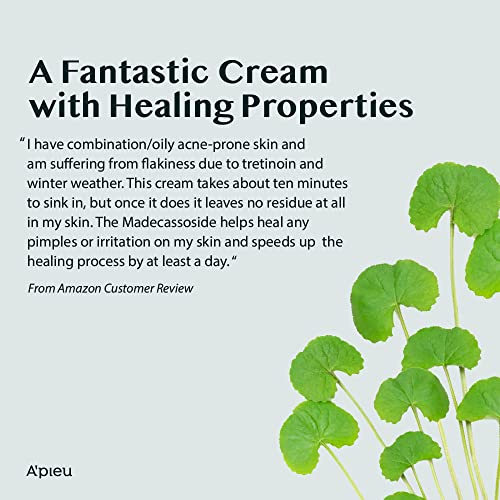 A'PIEU Madecassoside 2X Cream (1.69 fl oz) - for Combination and Blemish-Prone Skin, Helps Soothe Dryness, Sun Damage, Even Dark Spots - Centella Asiatica, Asiaticoside, Asiatic Acid