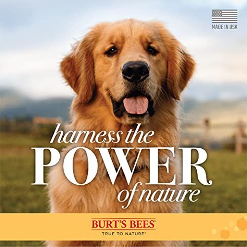 Burt's Bees Bundle Oatmeal Grooming Kit | Includes Oatmeal Dog Shampoo and Conditioner with Colloidal Oat Flour and Honey, and Double Sided Pin & Bristle Brush