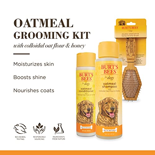 Burt's Bees Bundle Oatmeal Grooming Kit | Includes Oatmeal Dog Shampoo and Conditioner with Colloidal Oat Flour and Honey, and Double Sided Pin & Bristle Brush