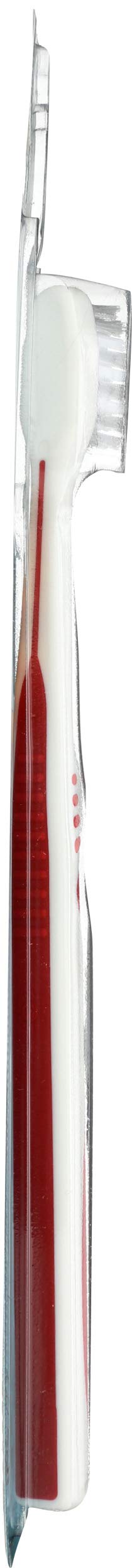 Terradent 31 Toothbrush Refill, Soft