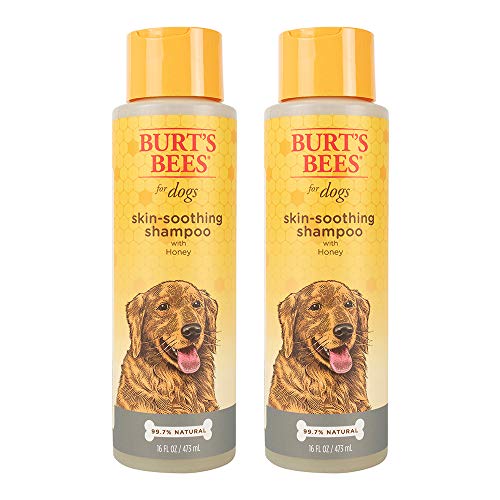 Burt's Bees for Dogs Natural Skin Soothing Shampoo with Honey | Dog Shampoo for All Dogs and Puppies | Safe for Dogs with Dry, Sensitive Skin | pH Balanced for Dogs - Made in USA, 16 Ounces - 2 Pack