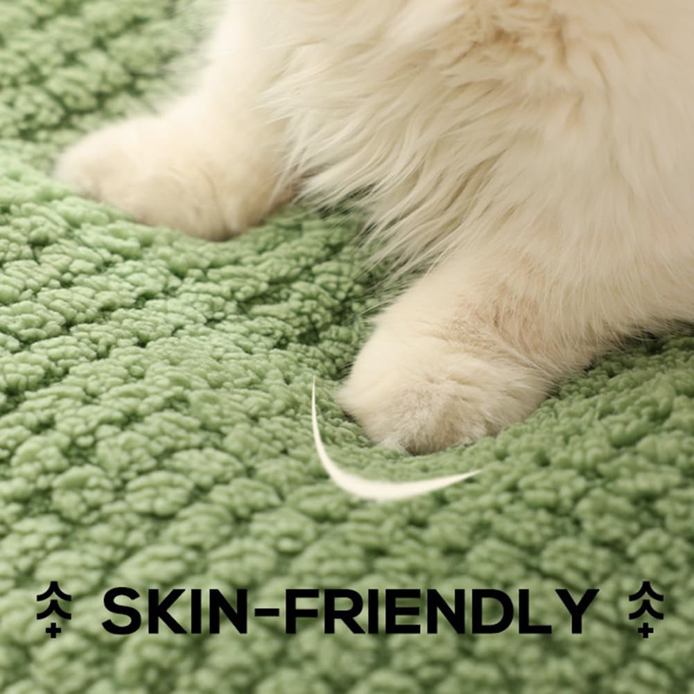 Dog Bed Cute Frog Pet Bed Comfortable Cozy Frog Plush Pet Beds for Small, Medium Dogs and Cats, Soft Funny Cute Plush Dog Beds, Fluffy Dog Beds with Non-Slip Bottom (19.7in, A)