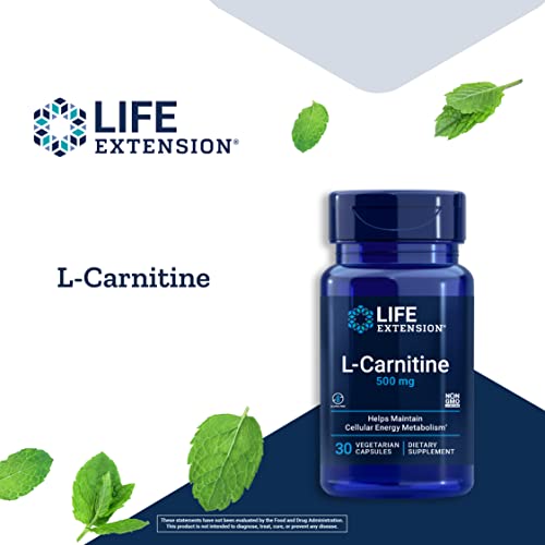 Life Extension L-Carnitine– Helps maintain healthy cellular energy metabolism – Non-GMO, Gluten-Free – 500 mg—30 vegetarian capsules