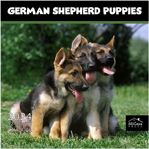 MICASA German Shepherd Puppies 2024 Wall Calendar 12 Month | 12" x 24" Open | Thick & Sturdy Paper | Giftable | Calendar 2024