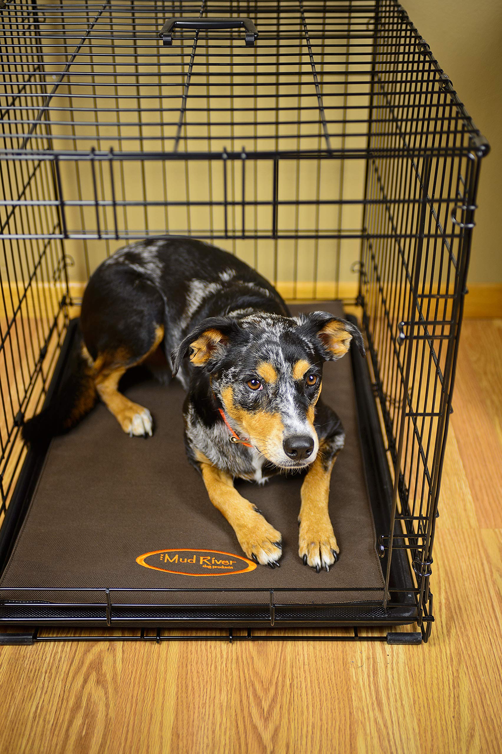 Mud River Dog Crate Cushion, Nylon, X-Large/Jumbo/32 x 22", Brown