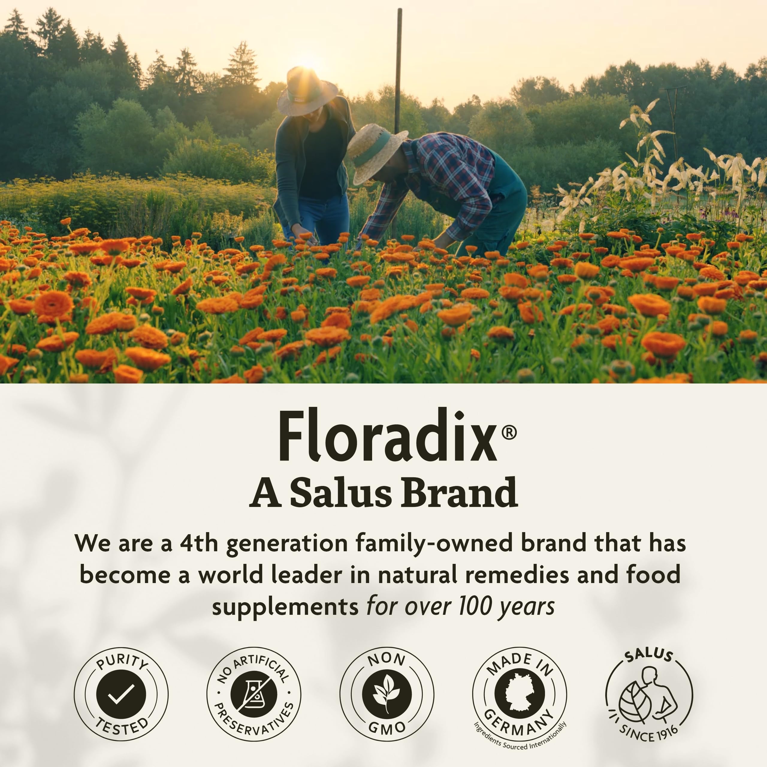 Floradix Floravital Liquid Iron & Vitamins Formula - Liquid Iron Supplement with B Complex Vitamins & Herbs for Energy Support - Vegan, Gluten-Free, Yeast- Free, Non-GMO - 17 oz