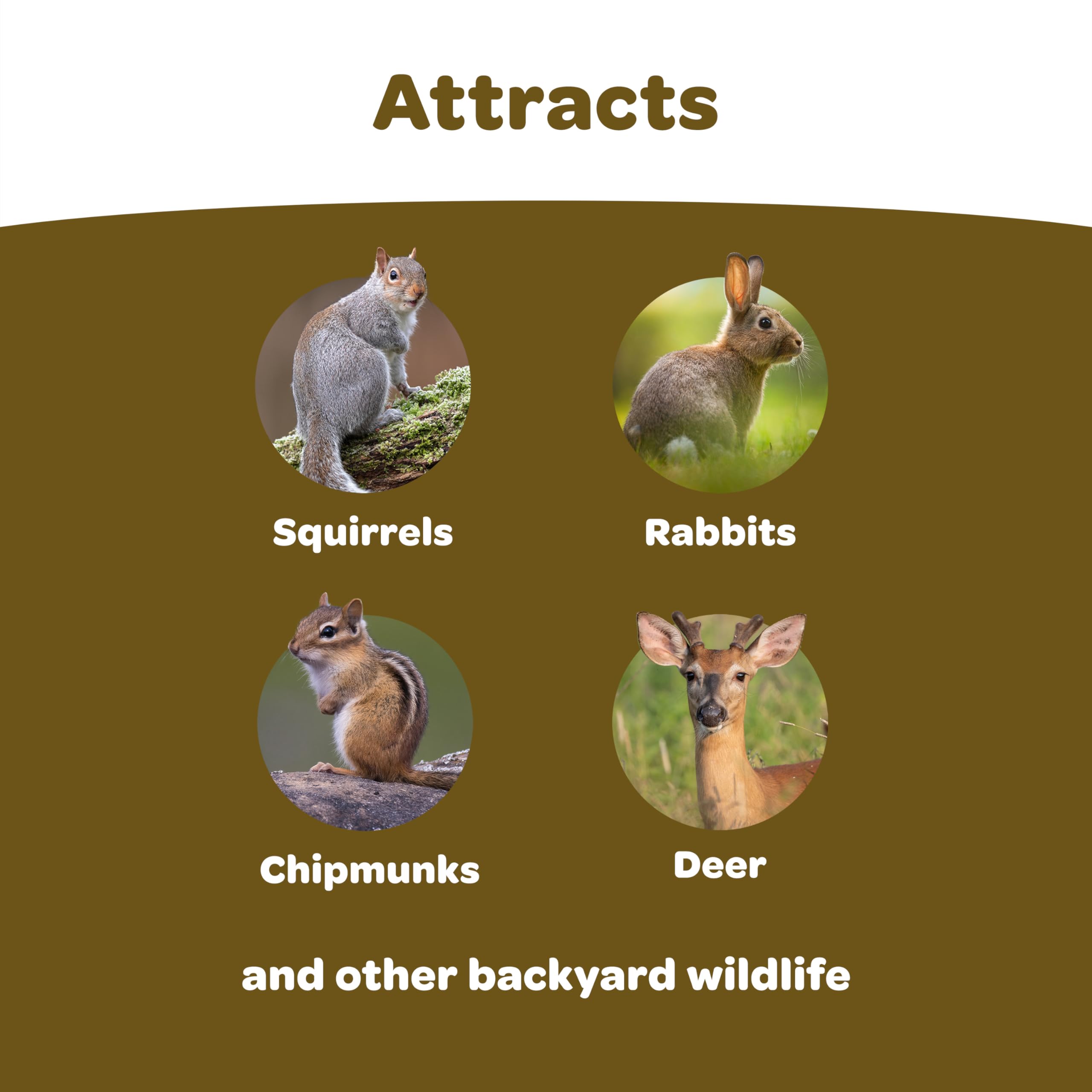 Kaytee Backyard Wildlife Food Blend For Wild Squirrels, Chipmunks, Rabbits and Other Backyard Wildlife, 5 Pound