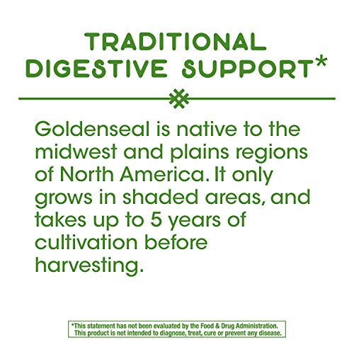 Nature’s Way Goldenseal Root, Traditional Digestive Support*, 100 Capsules