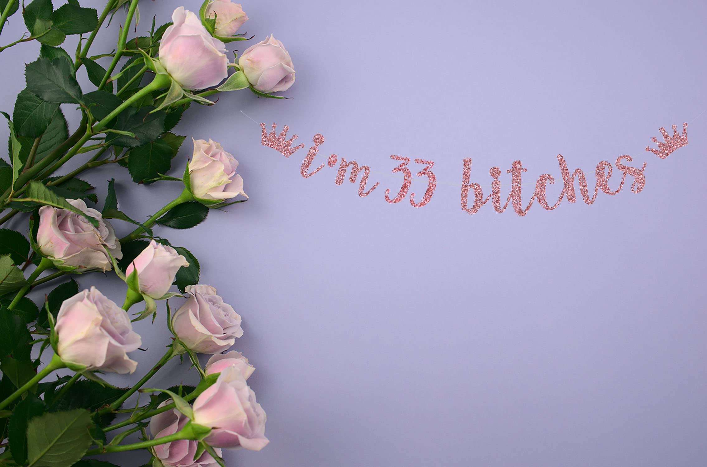 Glitter I'm 33 Bitches Banner, Happy 33rd Birthday Decor, Cheers to 33 Years Old Bunting Garlands, 33rd Birthday Party Decoration Supplies(Rose Gold)
