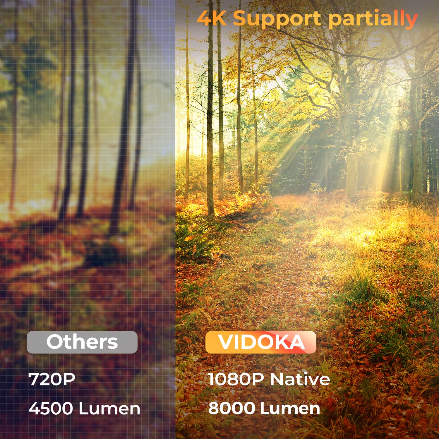 VIDOKA Native 1080P Projector with WiFi and Bluetooth, 8000L Full HD Projector for Home Outdoor Movie, Support 4K and Video Zoom,Sleep Timer, Compatible w/ TV Stick/iPhone/iPad/Laptop/PC/Smartphone
