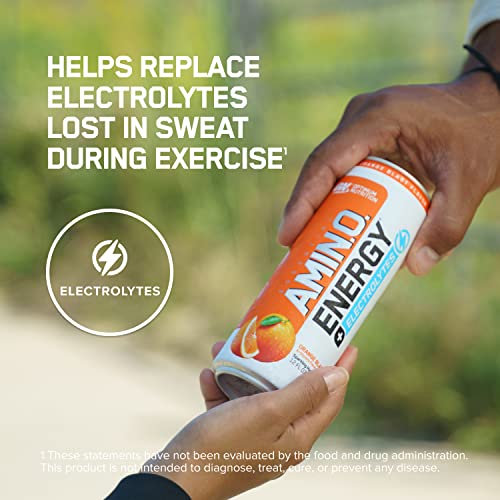 Optimum Nutrition Amino Energy Drink Plus Electrolytes for Hydration, Sugar Free, Caffeine for Pre-Workout Energy and Amino Acids / BCAAs for Post-Workout Recovery - Green Apple, 12 Fl Oz (Pack of 12)
