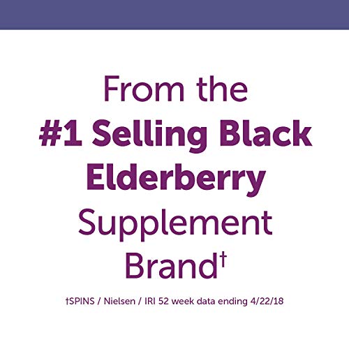 Nature's Way Sambucus Elderberry Immune Syrup with Vitamin C, Echinacea, & Zinc, Immune Support*, 4 Fl. Oz. (Packaging May Vary)