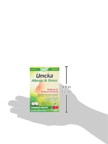 Nature's Way Umcka Allergy and Sinus Homeopathic Chewable Tablets- Cherry Flavor- 20 Count