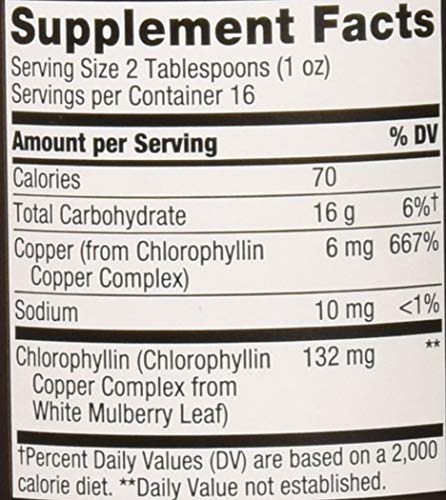 Nature’s Way Chlorofresh, Supports Detoxification Pathways*, Liquid Chlorophyllin Copper Complex, Supports Healthy Skin*, Internal Deodorant*, Mint Flavored, 16 Fl Oz.