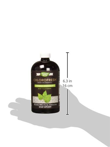 Nature’s Way Chlorofresh, Supports Detoxification Pathways*, Liquid Chlorophyllin Copper Complex, Supports Healthy Skin*, Internal Deodorant*, Mint Flavored, 16 Fl Oz.