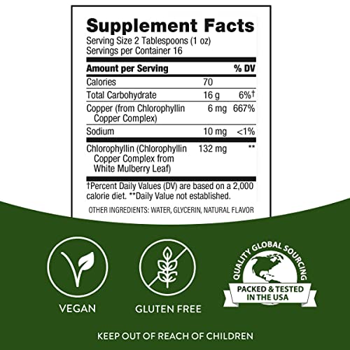 Nature’s Way Chlorofresh, Supports Detoxification Pathways*, Liquid Chlorophyllin Copper Complex, Supports Healthy Skin*, Internal Deodorant*, Mint Flavored, 16 Fl Oz.
