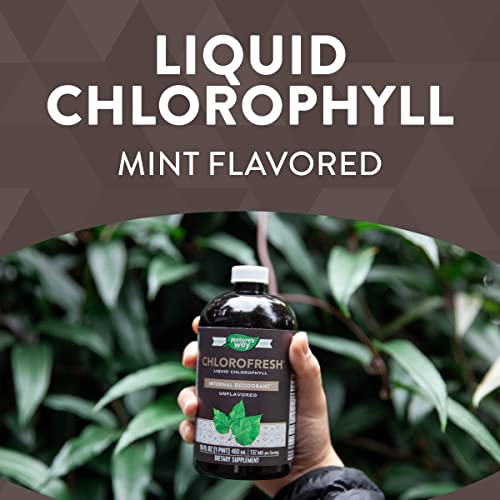 Nature’s Way Chlorofresh, Supports Detoxification Pathways*, Liquid Chlorophyllin Copper Complex, Supports Healthy Skin*, Internal Deodorant*, Mint Flavored, 16 Fl Oz.