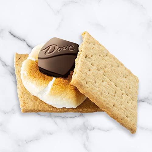 Dove Promises Milk Chocolate Candy Bag, 8.46 Oz
